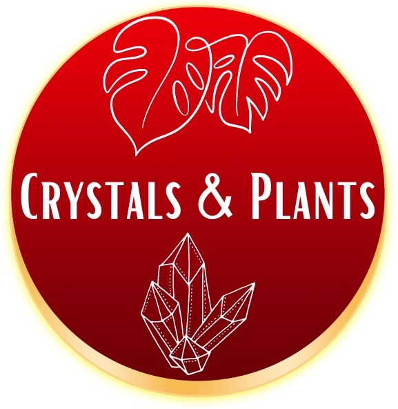 Crystal & Plants – creating an indoor oasis.